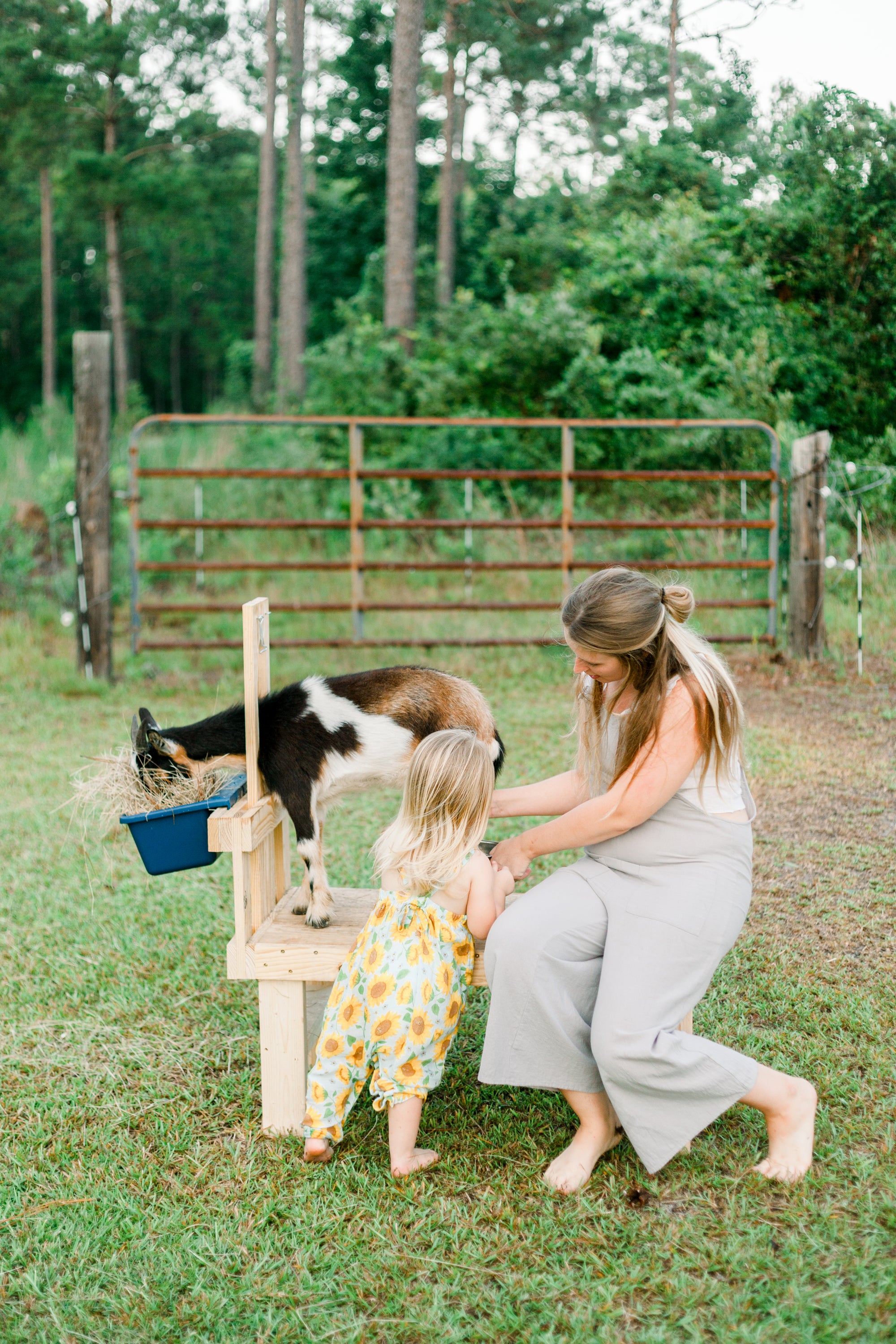 About Us – The Galloway Farm