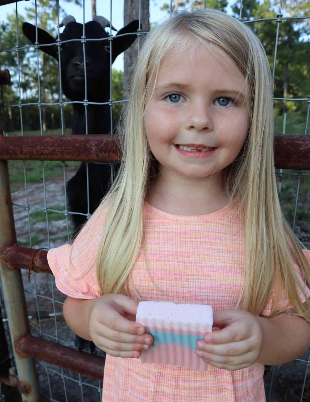Cotton Candy Goat's Milk Soap – The Galloway Farm